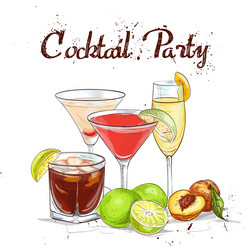 Contemporary classics cocktail set cocktail party Vector Image