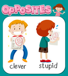 Opposite english words with clever and stupid Vector Image
