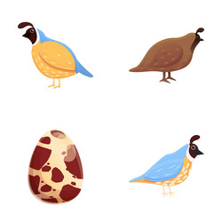 Partridge Vector Images (over 550)