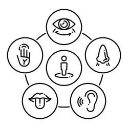 Five senses outline icons of set Royalty Free Vector Image
