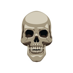 Skull Front Facing Vector Images (over 1,500)
