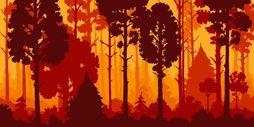 Sunset Forest Background Vector Images (over 13,000)