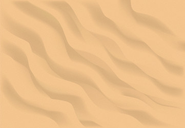 Top view tropical seashore or desert dunes sand Vector Image