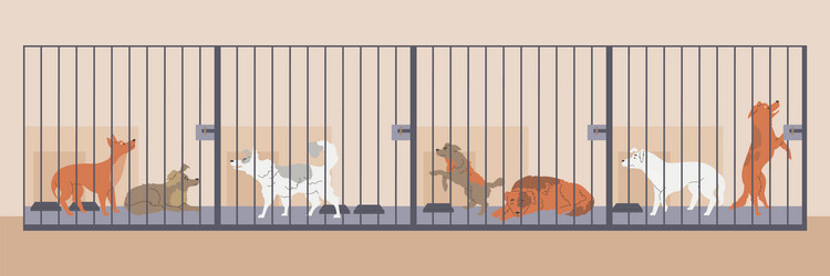 Stray Dogs Vector Images (over 740)