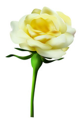 Yellow Rose Vector Images (over 12,000)