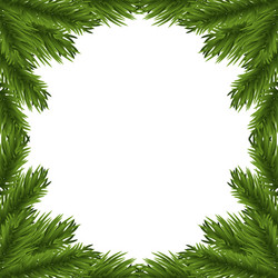 Seamless background with realistic green fir tree Vector Image