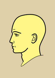 Human Head Vector Images (over 330,000)
