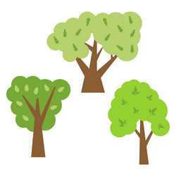 Three green trees with leaves Royalty Free Vector Image