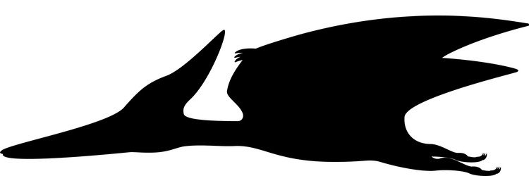 Pteranodon Silhouette Pterodactyl Vector Images (over 120)