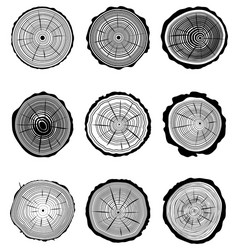 Collection of tree trunk cross sections Royalty Free Vector