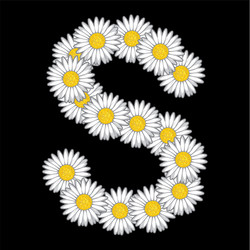 Bele rade r Royalty Free Vector Image - VectorStock