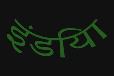 India typography text writing in hindi language Vector Image