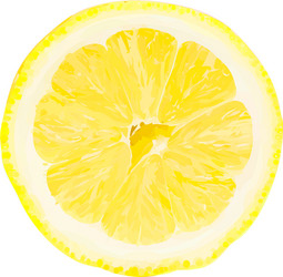 Half yellow lemon Royalty Free Vector Image - VectorStock