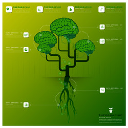 Brain tree and root infographic science background