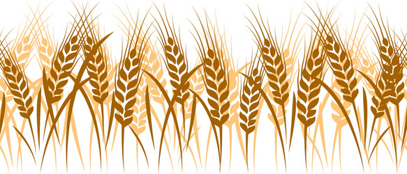 Wheat Vector Images (over 120,000)