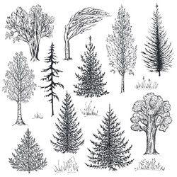 Tree silhouette collection Royalty Free Vector Image