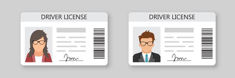 Driver license icon in flat style identification Vector Image