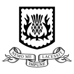 Old scottish design thistle flower in celtic Vector Image