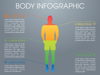 Human body parts medical diagram with female model