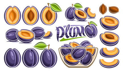 Set of plum fruit cartoon Royalty Free Vector Image
