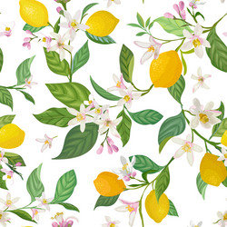 Hand drawn lemon pattern tropical fruit Royalty Free Vector