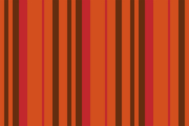 Mexican blanket stripes seamless pattern Vector Image