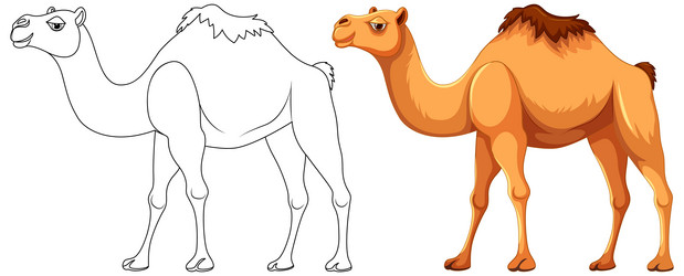 Walking camel isolated Royalty Free Vector Image