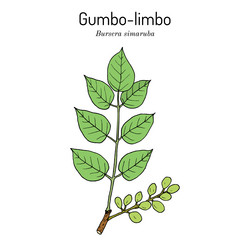 Gumbo Vector Images (over 250)