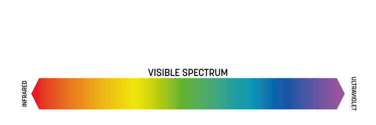 Colorful visible spectrum of light Royalty Free Vector Image