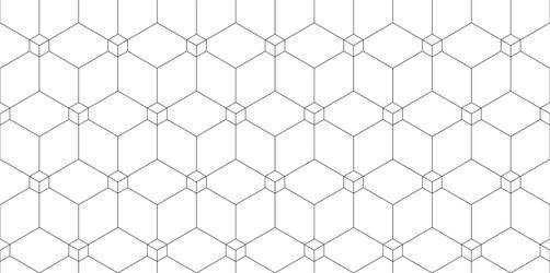 Abstract geometric background hexagon lines Vector Image
