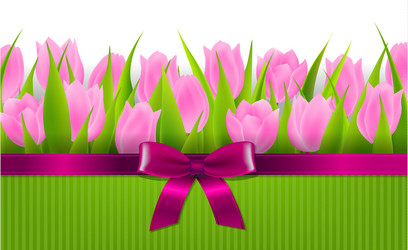 Tulip flower border to the bottom of screen Vector Image