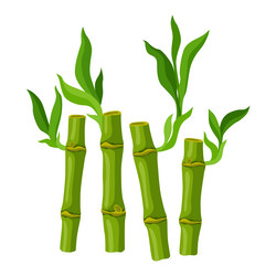 Green bamboo stems icon cartoon style Royalty Free Vector