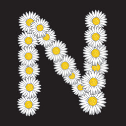 Bele rade r Royalty Free Vector Image - VectorStock