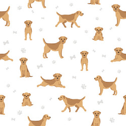 Border collie dog seamless pattern Royalty Free Vector Image