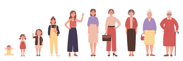 Life cycle of woman visualization stages Vector Image