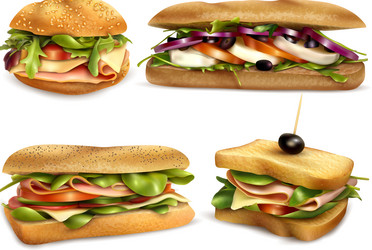 Panini Vector Images (over 270)