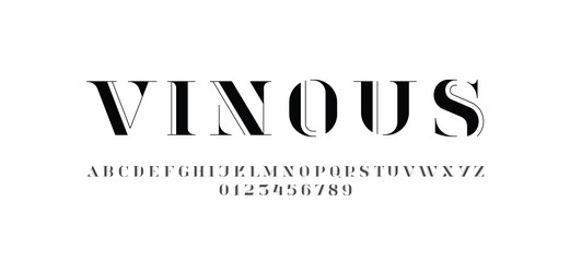 Beautiful elegant alphabet serif decorative font Vector Image