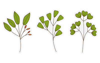 Spring stickers flowers floral and leaf stickers Vector Image