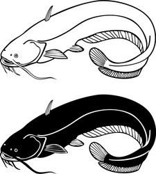 Catfish Vector Images (over 2,200)