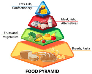 Cartoon food pyramid infographic a visual guide Vector Image