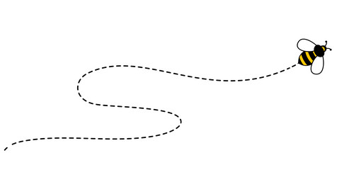 Bee fly on dotted route or line path bumblebee Vector Image