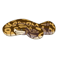 Coiled Snake Vector Images (over 1,200)