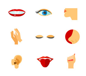 Human face parts icon set Royalty Free Vector Image