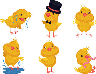 Cartoon chicken character crying and wearing top Vector Image