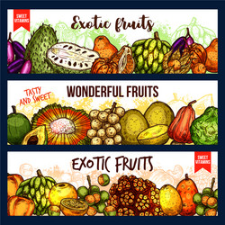 Chompoo Fruit Vector Images (57)
