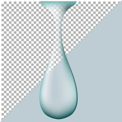 Realistic drops of water on transparent and blue Vector Image