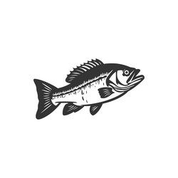 Bass fish skeleton monochrome concept Royalty Free Vector