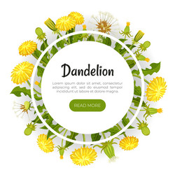 Dandelion tags design with flowering plant Vector Image