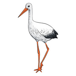 White stork Royalty Free Vector Image - VectorStock