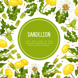 Dandelion tags design with flowering plant Vector Image